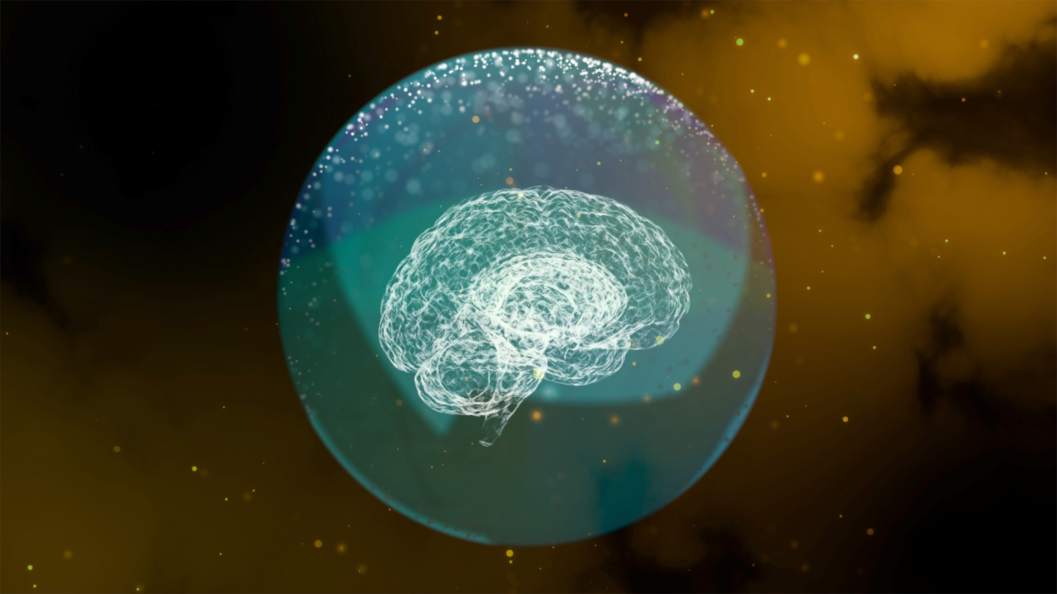 NeuroDynamic Aftercare Protocol – Nourish & Nurture®